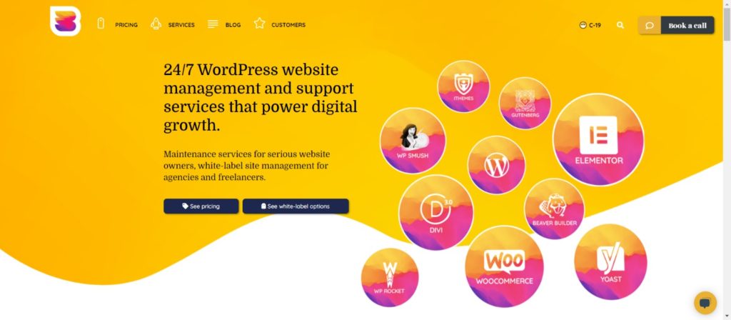 21 Best WordPress Website Maintenance and Support Services