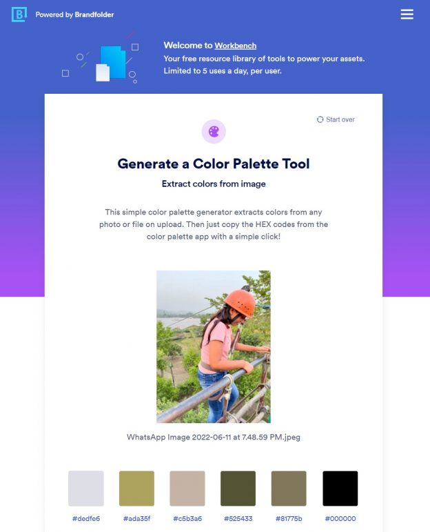 Best Color Palette Generators from Images - VOCSO