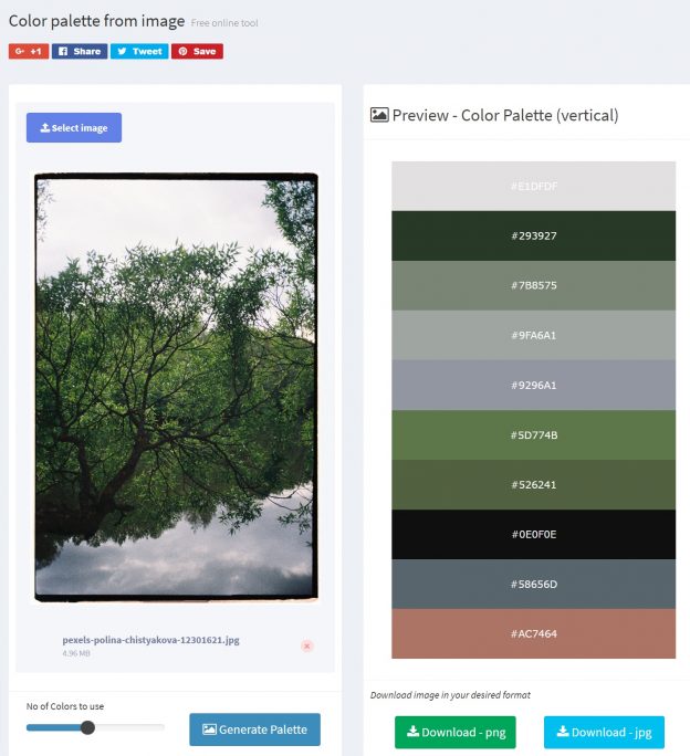 Best Color Palette Generators from Images - VOCSO